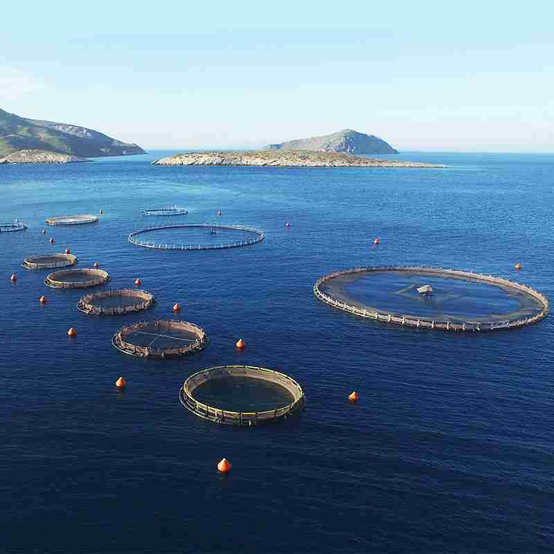 100% New Raw Material Hdpe Pipe Deep Water Marine Culture Fishing Round ...