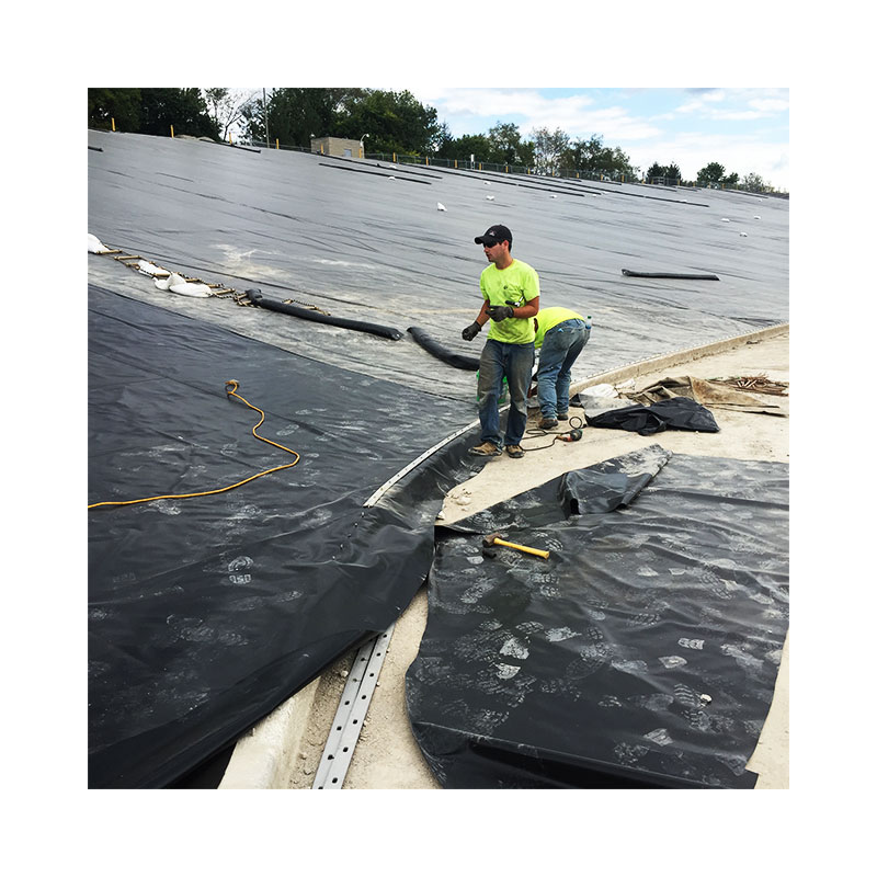 HDPE Geomembrane Liner - Zhongtong HDPE PIPE System Professional Supplier