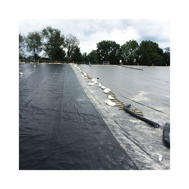 HDPE Geomembrane Liner - Zhongtong HDPE PIPE System Professional Supplier