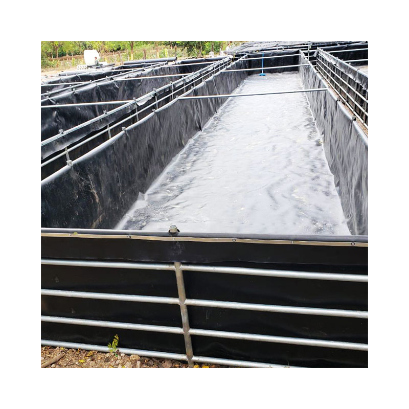 HDPE Geomembrane Liner - Zhongtong HDPE PIPE System Professional Supplier
